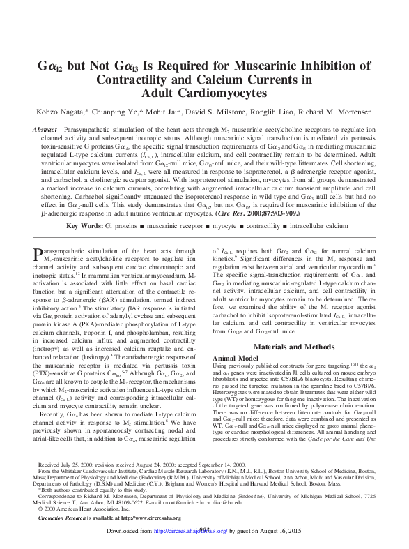 (PDF) Gai2 but Not Gai3 Is Required for Muscarinic Inhibition of ...