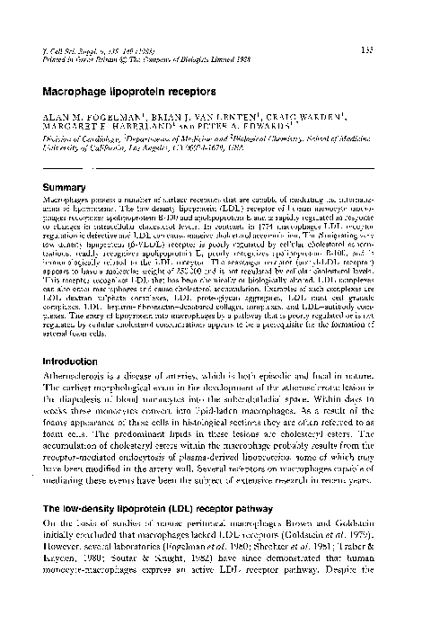 (PDF) Macrophage lipoprotein receptors