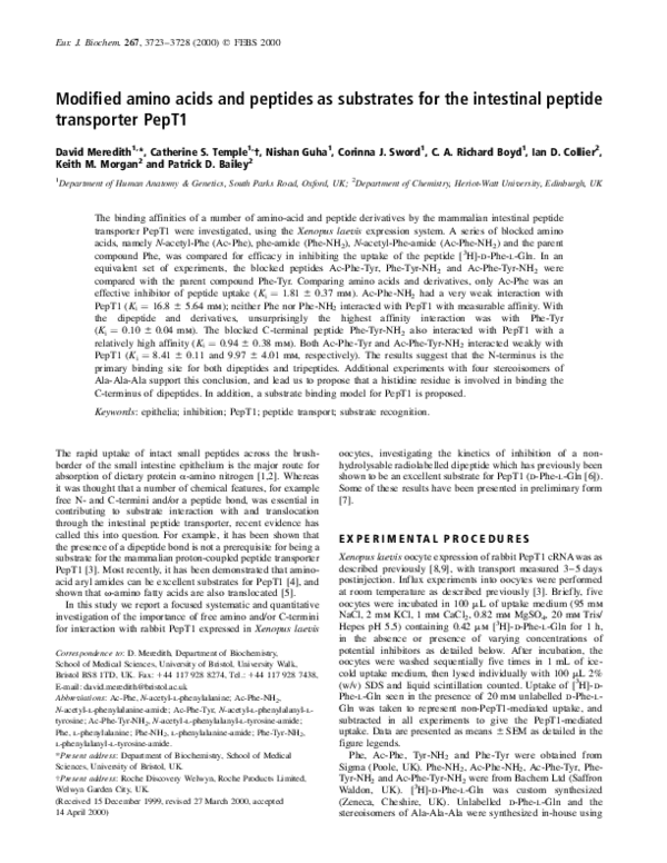 (PDF) Modified amino acids and peptides as substrates for the ...