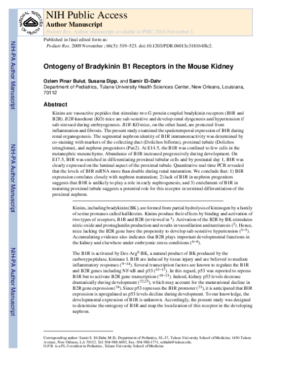 (PDF) Ontogeny of Bradykinin B1 Receptors in the Mouse Kidney