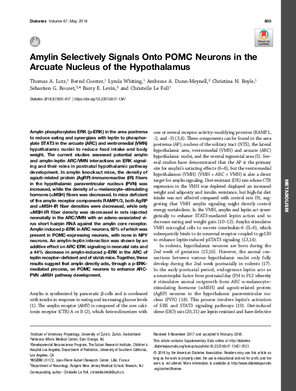 (PDF) Amylin Selectively Signals onto POMC Neurons in the Arcuate ...