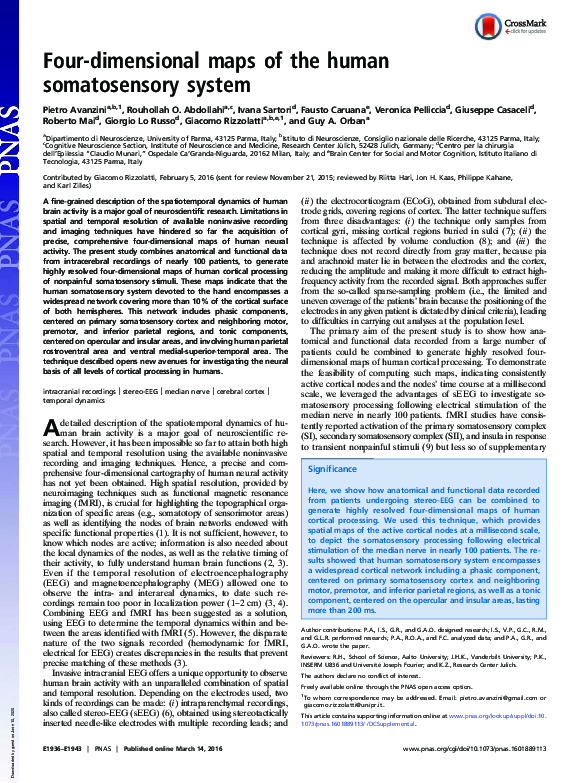 (PDF) Four-dimensional maps of the human somatosensory system | roberto ...
