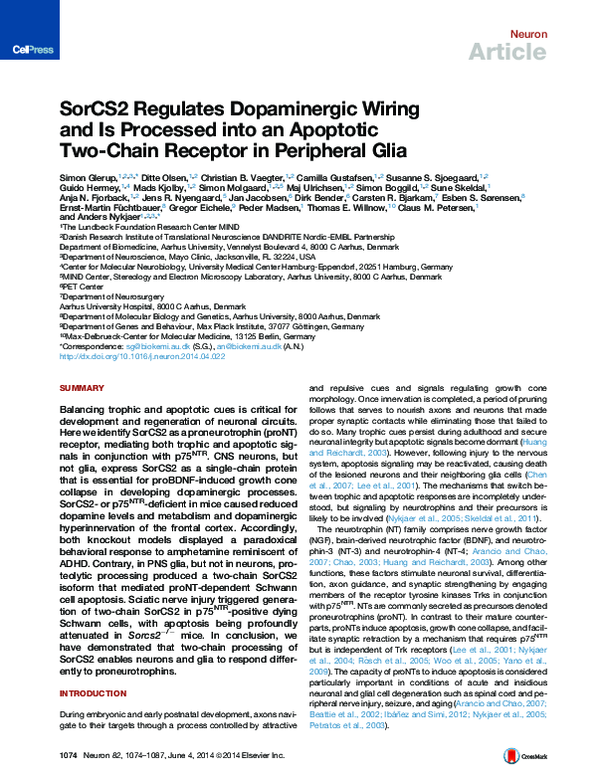 (PDF) SorCS2 Regulates Dopaminergic Wiring and Is Processed into an ...