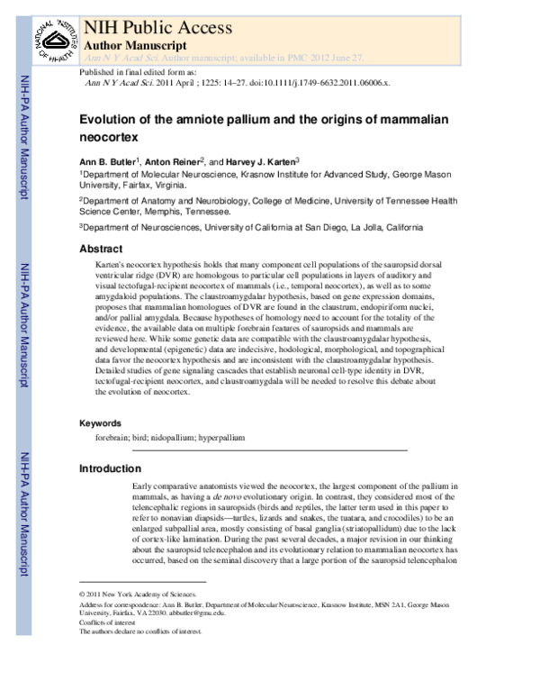 (PDF) Evolution of the amniote pallium and the origins of mammalian ...