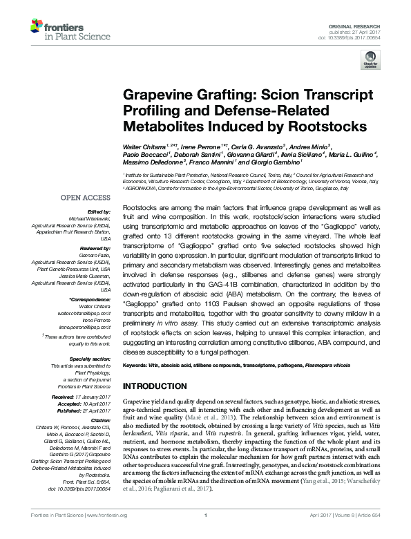 (PDF) Grapevine Grafting: Scion Transcript Profiling and Defense ...