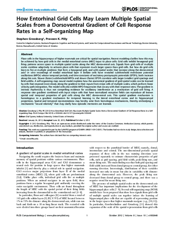 (PDF) How Entorhinal Grid Cells May Learn Multiple Spatial Scales from ...