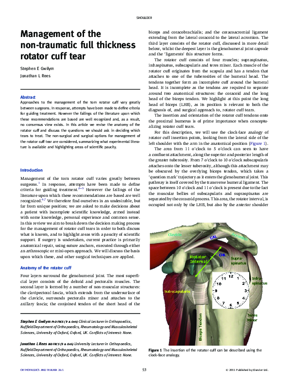 (PDF) Management of the non-traumatic full thickness rotator cuff tear ...