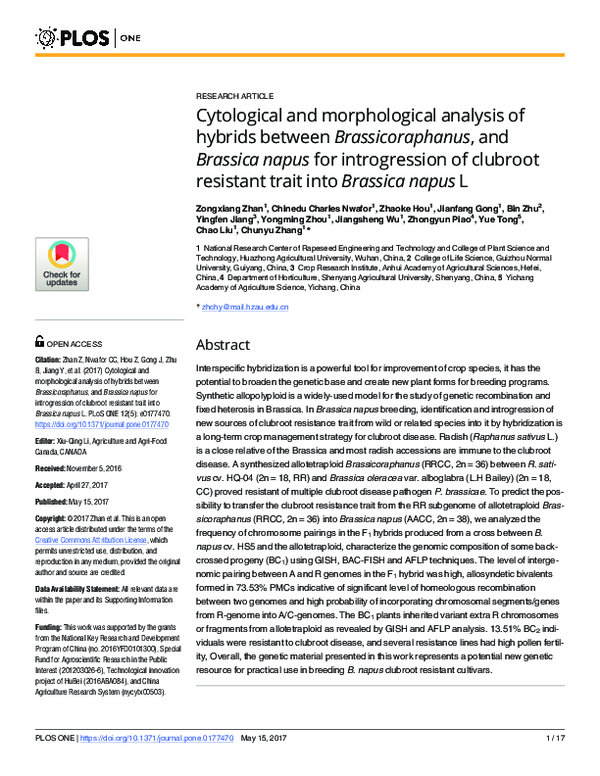 (PDF) Cytological and morphological analysis of hybrids between ...