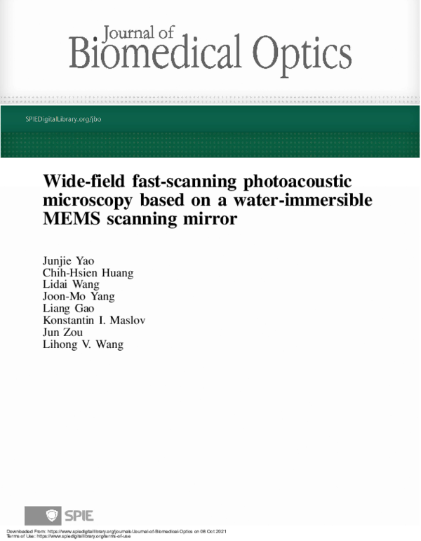 (PDF) Wide-field fast-scanning photoacoustic microscopy based on a ...