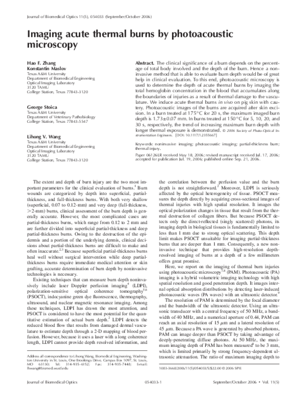 (PDF) Imaging acute thermal burns by photoacoustic microscopy