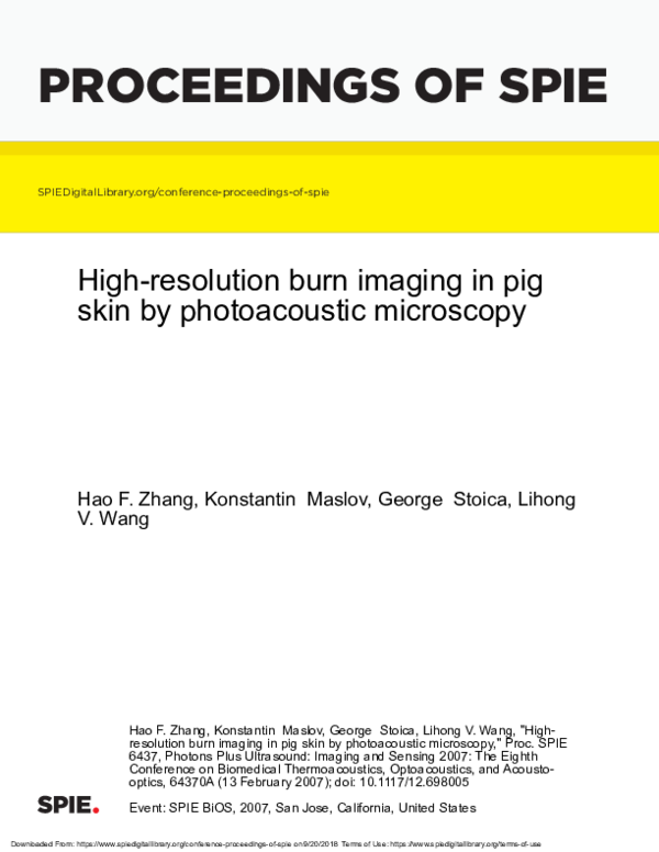 (PDF) High-resolution burn imaging in pig skin by photoacoustic ...