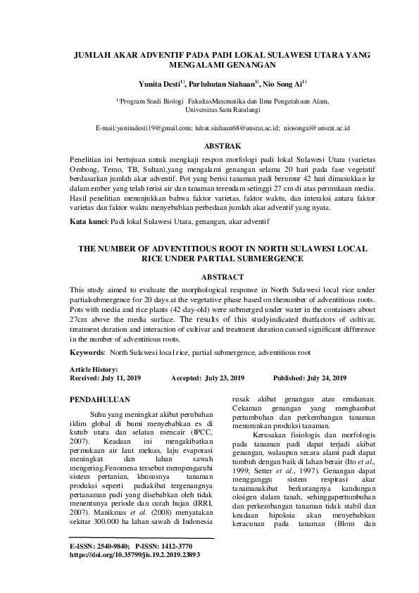 (PDF) Jumlah Akar Adventif Pada Padi Lokal Sulawesi Utara Yang ...