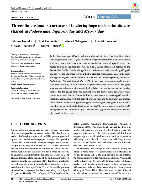 (PDF) Three-dimensional structures of bacteriophage neck subunits are ...