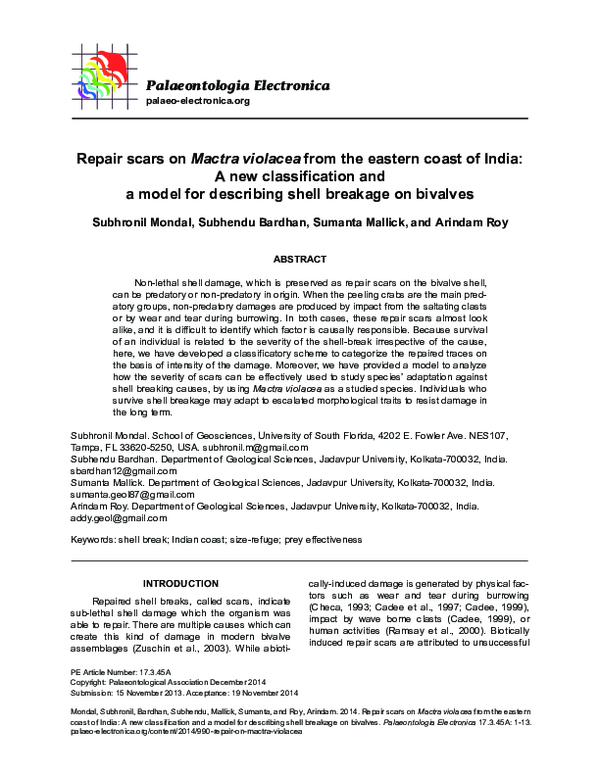 (PDF) Repair scars on Mactra violacea from the eastern coast of India ...