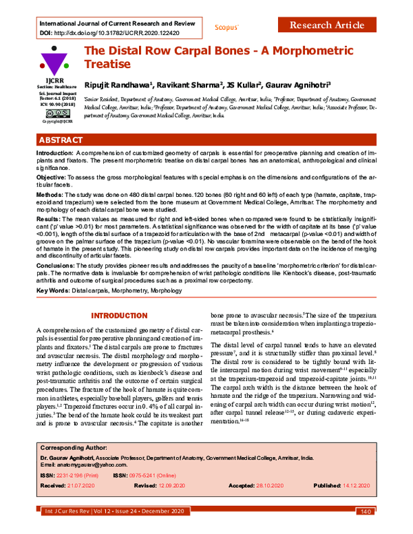 (PDF) The Distal Row Carpal Bones - A Morphometric Treatise
