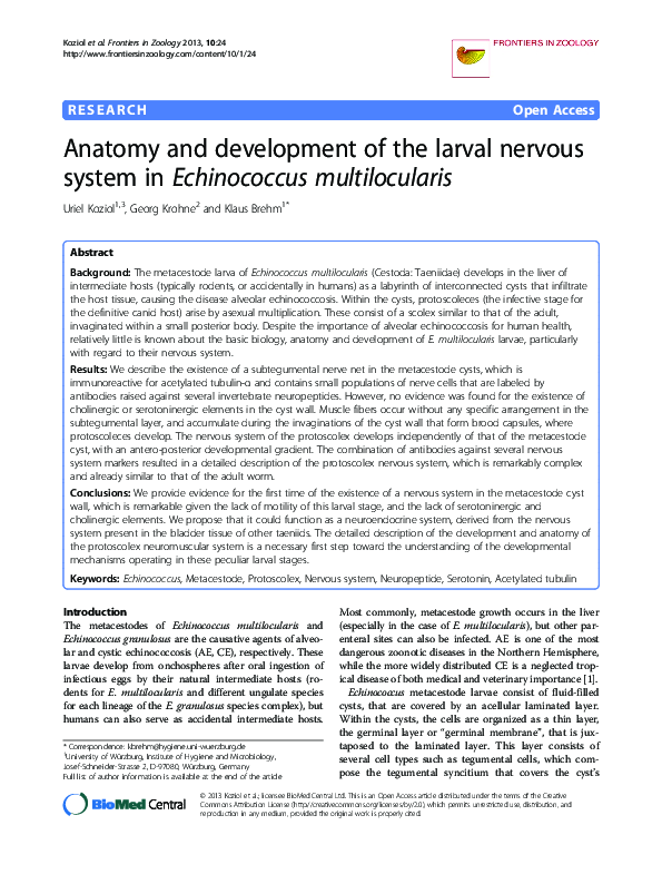 (PDF) Anatomy and development of the larval nervous system in Echinococcus multilocularis