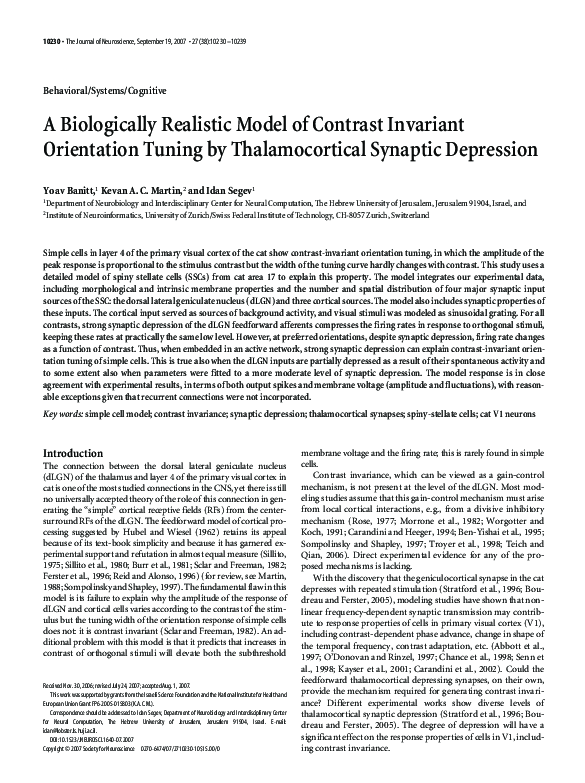 Pdf A Biologically Realistic Model Of Contrast Invariant Orientation Tuning By Thalamocortical