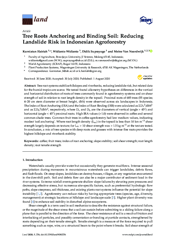 (PDF) Tree Roots Anchoring and Binding Soil: Reducing Landslide Risk in ...
