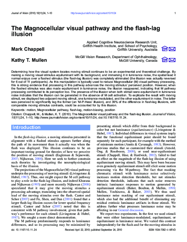 (PDF) The Magnocellular visual pathway and the flash-lag illusion