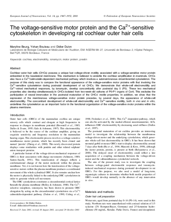 (PDF) The voltage-sensitive motor protein and the Ca2+-sensitive ...