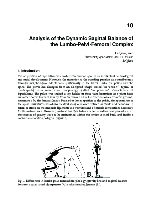 (PDF) Analysis of the Dynamic Sagittal Balance of the Lumbo-Pelvi ...
