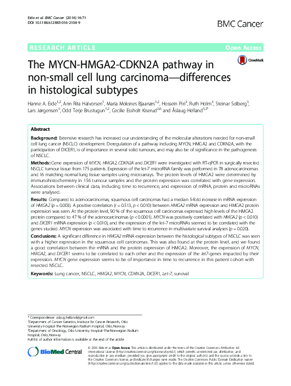 (PDF) The MYCN-HMGA2-CDKN2A pathway in non-small cell lung carcinoma ...