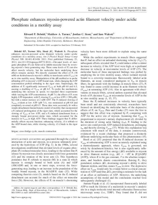 (PDF) Phosphate enhances myosin-powered actin filament velocity under ...