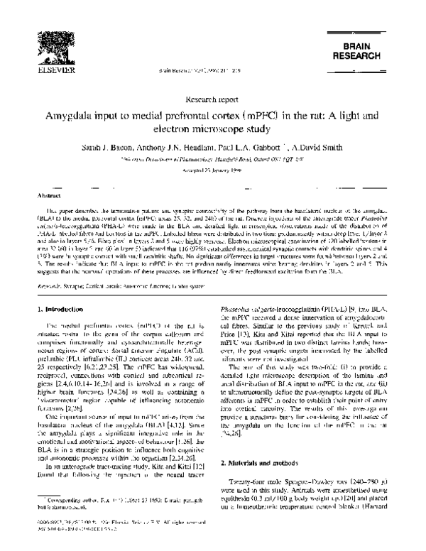 (PDF) Amygdala input to medial prefrontal cortex (mPFC) in the rat: A light and electron ...