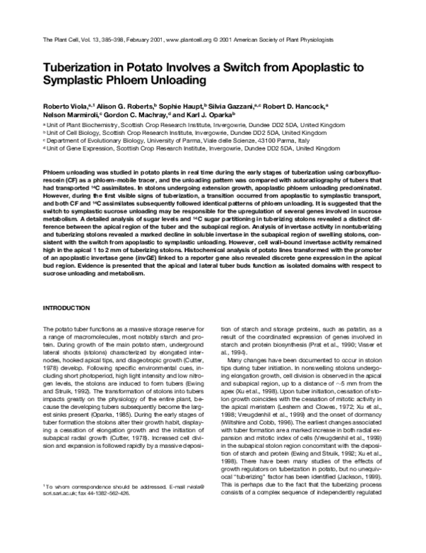 (PDF) Tuberization in Potato Involves a Switch from Apoplastic to ...