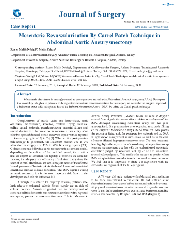 (PDF) Mesenteric Revascularisation By Carrel Patch Technique in ...