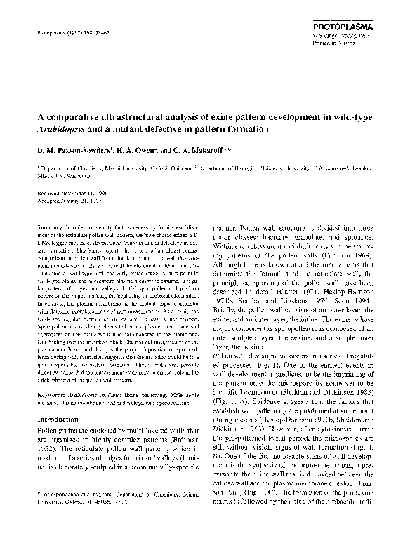 (PDF) A comparative ultrastructural analysis of exine pattern ...