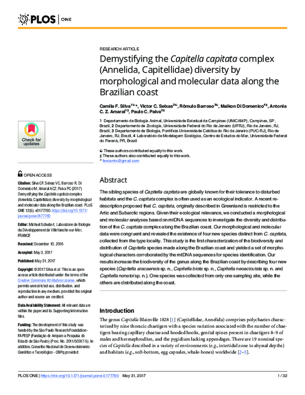 (PDF) Demystifying the Capitella capitata complex (Annelida ...
