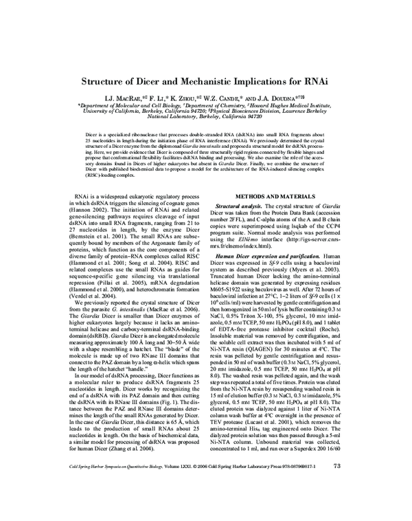 (PDF) Structure of Dicer and Mechanistic Implications for RNAi