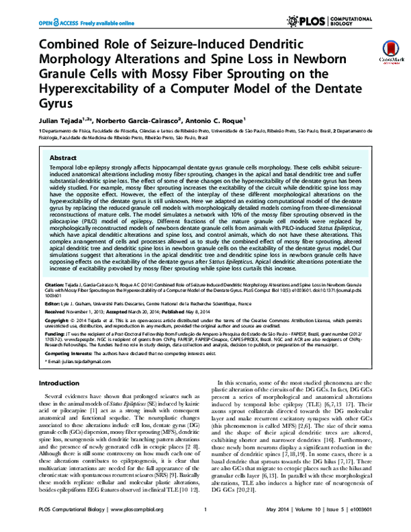(PDF) Combined Role of Seizure-Induced Dendritic Morphology Alterations and Spine Loss in ...