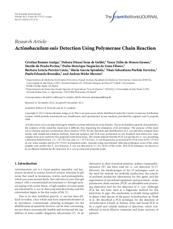 (PDF) Actinobaculum suis detection using polymerase chain reaction ...