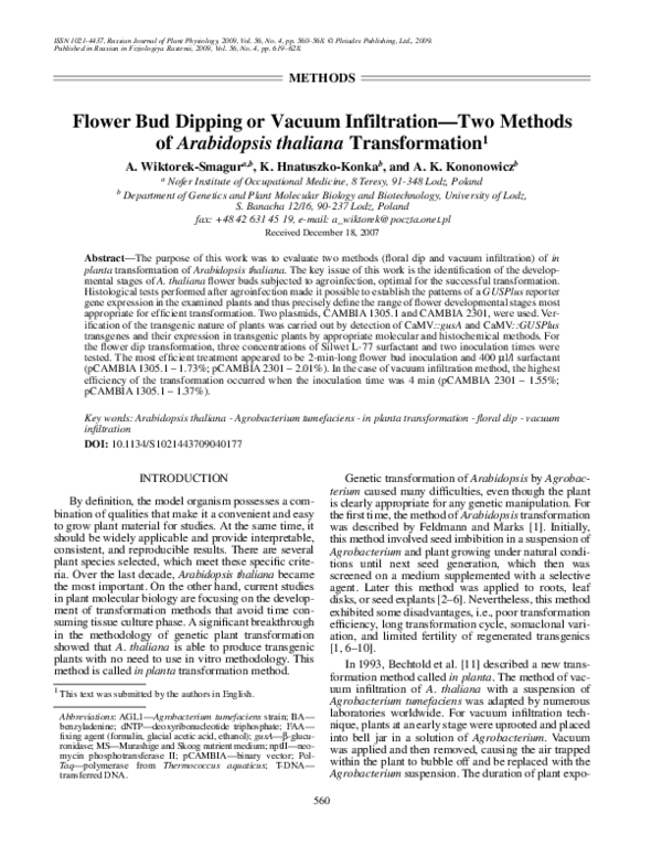 (PDF) Flower bud dipping or vacuum infiltration—two methods of ...