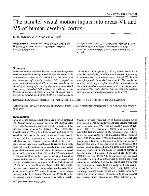 (PDF) The parallel visual motion inputs into areas V1 and V5 of human ...