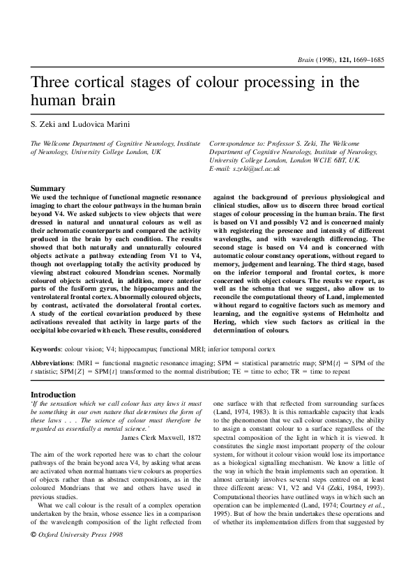 (PDF) Three cortical stages of colour processing in the human brain
