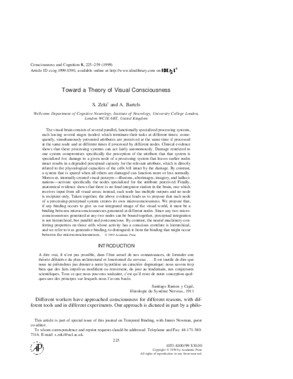 (PDF) Toward a Theory of Visual Consciousness
