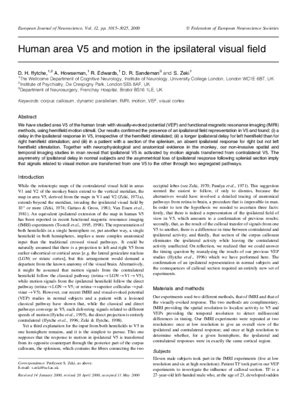 (PDF) Human area V5 and motion in the ipsilateral visual field