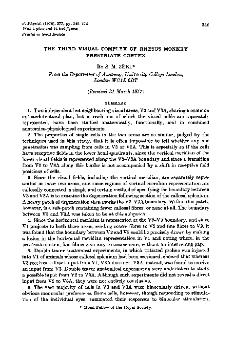 (PDF) The third visual complex of rhesus monkey prestriate cortex