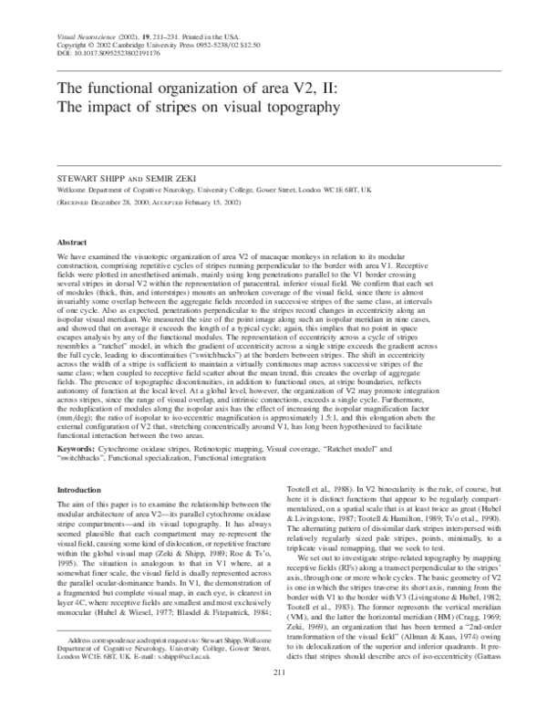 (PDF) The functional organization of area V2, II: The impact of stripes ...