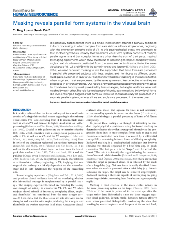 (PDF) Masking reveals parallel form systems in the visual brain