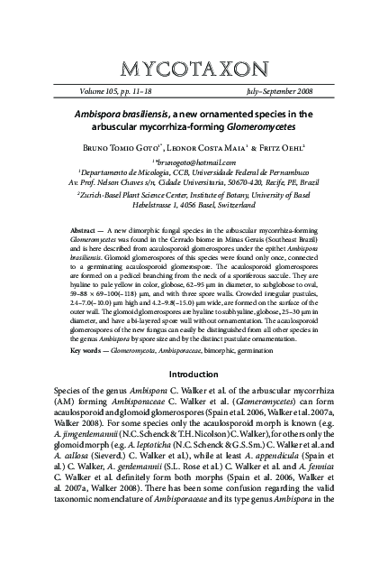 (PDF) Ambispora Brasiliensis, a New Ornamented Species In the ...