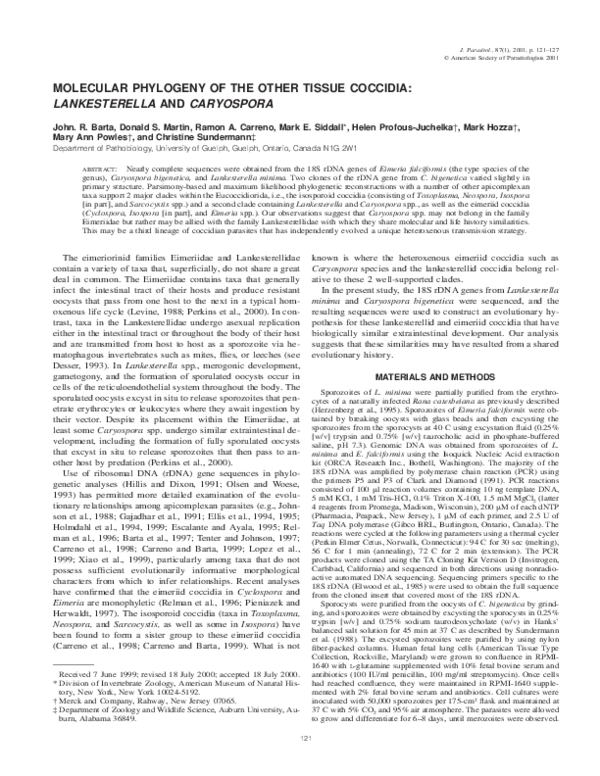 (PDF) Molecular Phylogeny of the Other Tissue Coccidia: Lankesterella ...