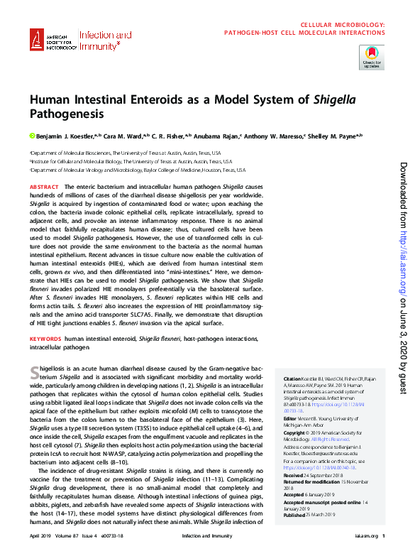 (PDF) Human Intestinal Enteroids as a Model System of Shigella Pathogenesis