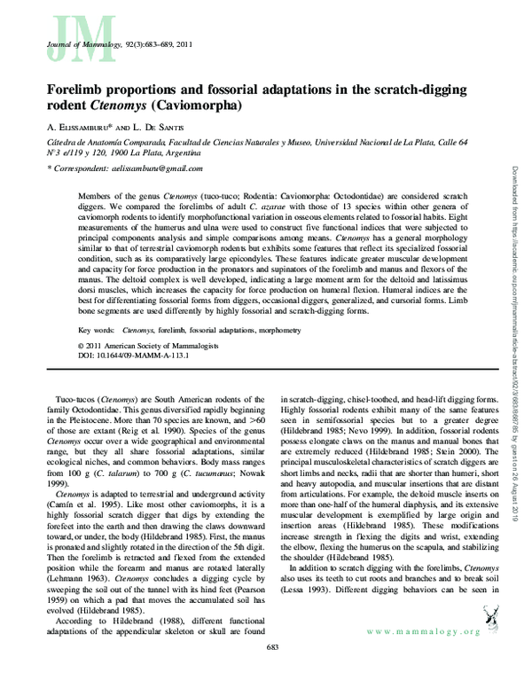 (PDF) Forelimb proportions and fossorial adaptations in the scratch ...