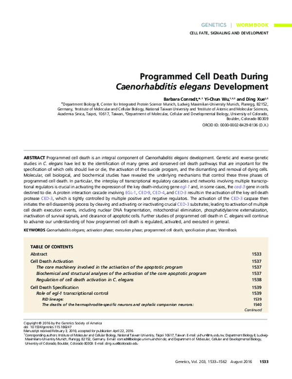 (PDF) Programmed Cell Death During Caenorhabditis elegans Development