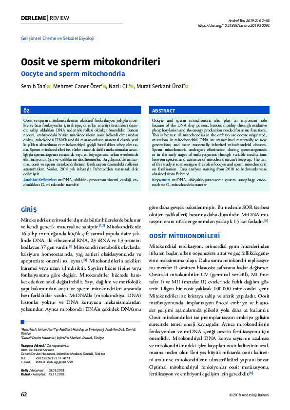 (PDF) Oosit ve sperm mitokondrileri