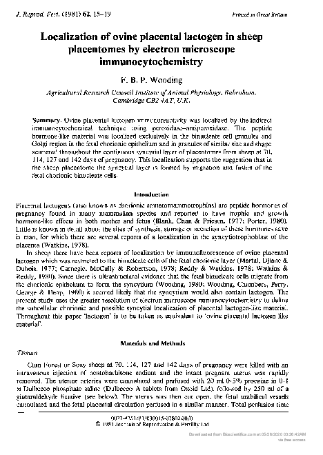 (PDF) Localization of ovine placental lactogen in sheep placentomes by ...